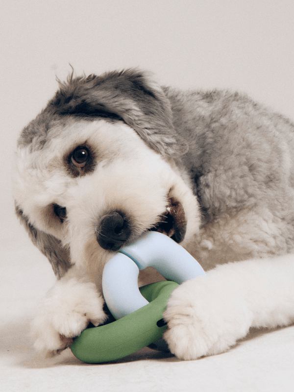 SHOP Roika | GORI 橡膠玩具 NOW ⚡️ – RUFF & FETCH