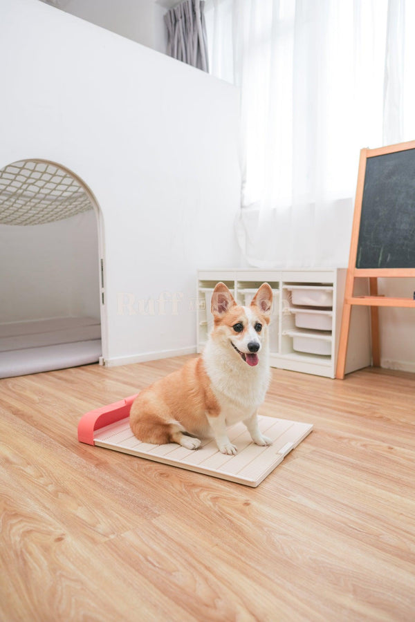 Monomog | Swingdog 環保廁所套裝 – RUFF & FETCH