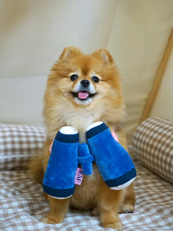 SHOP RAF City Explorer 城市探索隊寵物玩具系列 | 望遠鏡發聲拉扯玩具 NOW ⚡️ – RUFF & FETCH
