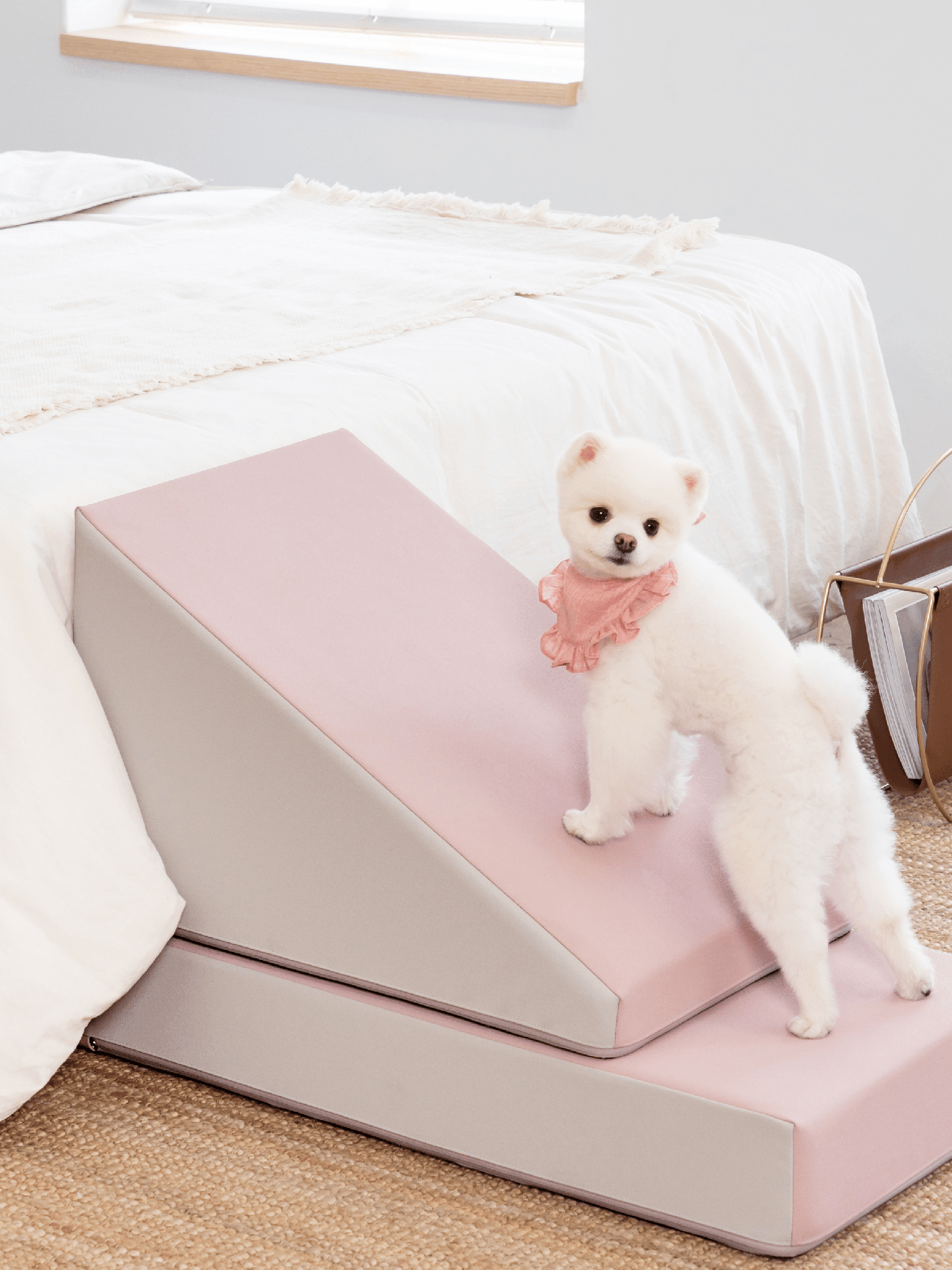 Pupping | 防滑寵物斜坡 – RUFF & FETCH